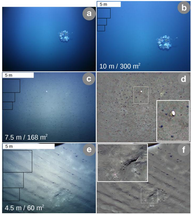 Understanding Deep-Sea Images With Artificial Intelligence ...