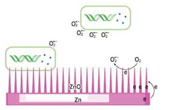 Nanostructured Coatings Annihilate Bacteria. | scienceadvantage