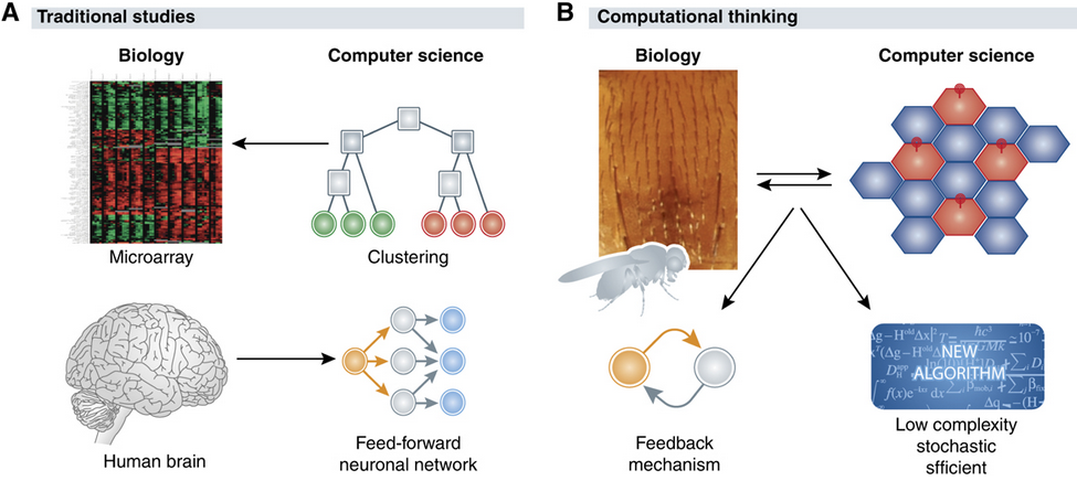 Computing Solutions for Biological Problems. | scienceadvantage