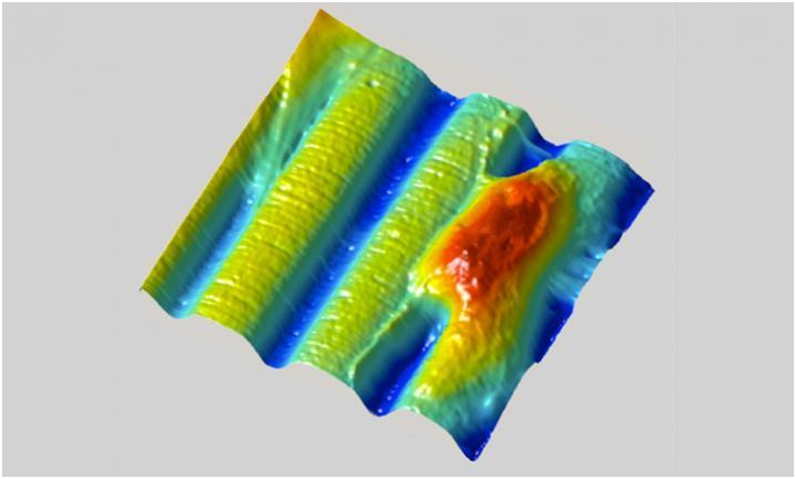‘Shrink Ray’ Alters Size and Shape of Cellular Material. | scienceadvantage