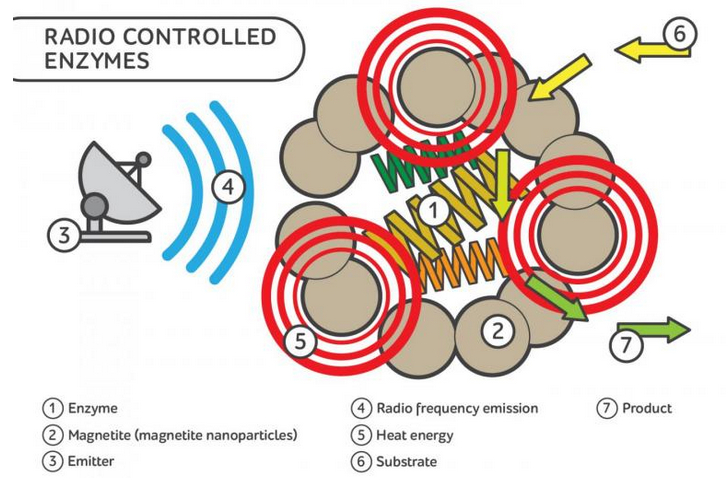Scientists Developed Enzymes With Remote Control. | scienceadvantage